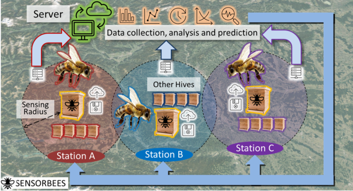 EU FET PROJECT SENSOR BEES – Artificial Life Laboratory
